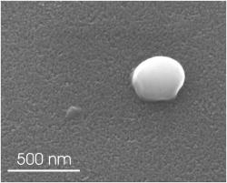 Simultaneous formation of SiC and Si nanostructures on silicon by local ...