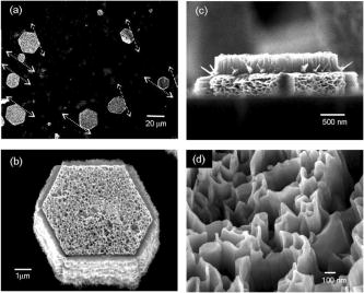 ZnO hexagonal microboxes enclosed only by {0001} facets with epitaxial ...