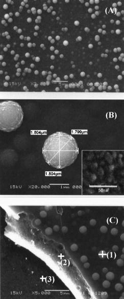 Spherical carbon particle growth in a methane plasma | Applied Physics ...