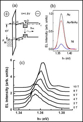 Electrical spin injection in forward biased Schottky diodes based on ...