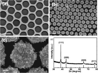 Hierarchical surface rough ordered Au particle arrays and their surface ...