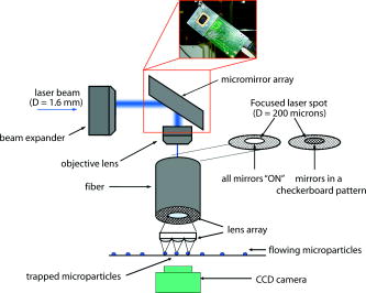 Parallel microparticle manipulation using an imaging fiber-bundle-based ...