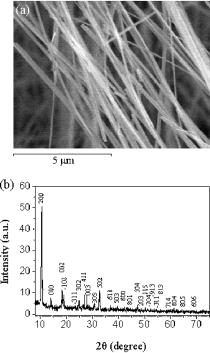 Electrical transport through individual nanowires with transverse grain ...