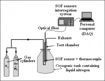 Optical probes based on optical fibers and single-walled carbon ...