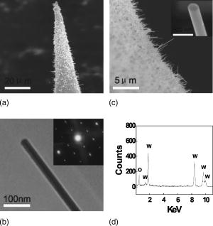 In situ probing mechanical properties of individual tungsten oxide nanowires directly grown on ...