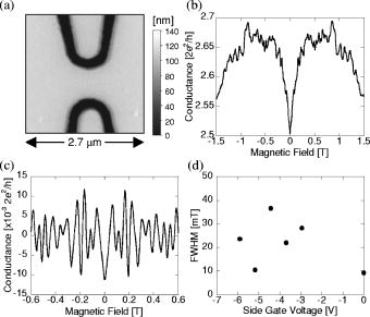 Imaging of quantum interference patterns within a quantum point contact ...