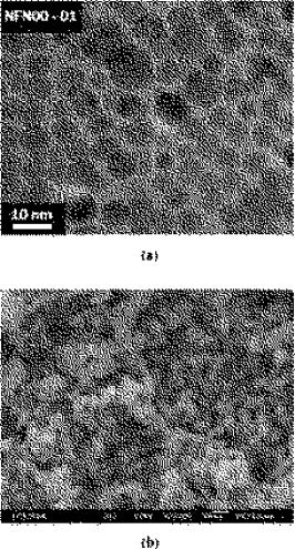 Applications of NiFe2O4 nanoparticles for a hyperthermia agent in ...