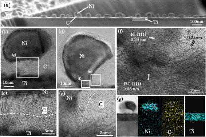 Interface characteristics of vertically aligned carbon nanofibers for ...