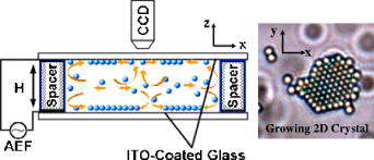 Configurations and diffusion of point defects in two-dimensional ...