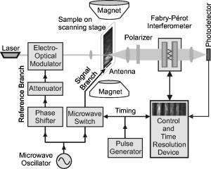 Phase-sensitive Brillouin light scattering spectroscopy from spin-wave ...