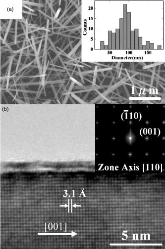 Growth of single-crystalline RuO2 nanowires with one- and two ...