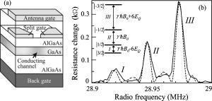 Nuclear spin population and its control toward initialization using an ...