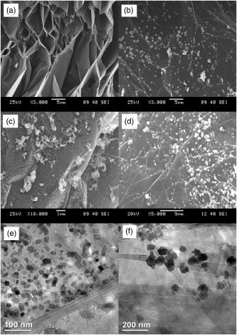 Dispersion of magnetic metals on expanded graphite for the shielding of ...