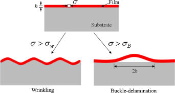 Buckling modes of elastic thin films on elastic substrates | Applied ...