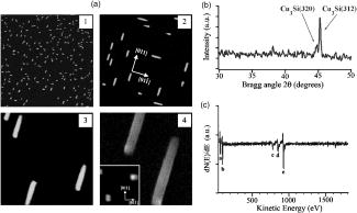 Carbon nanotube cantilevers on self-aligned copper silicide nanobeams ...