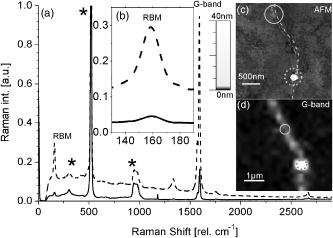 Raman properties of gold nanoparticle-decorated individual carbon ...