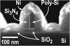 Direct evidence of linewidth effect: Ni31Si12 and Ni3Si formation on ...