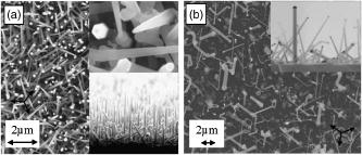 Ga∕Au alloy catalyst for single crystal silicon-nanowire epitaxy ...