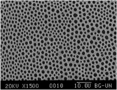 Vibration-induced Cassie-Wenzel wetting transition on rough surfaces ...