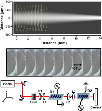 Two dimensional dynamic focusing of laser light by ferroelectric domain ...