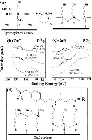 Organosilane-functionalized wide band gap semiconductor surfaces ...