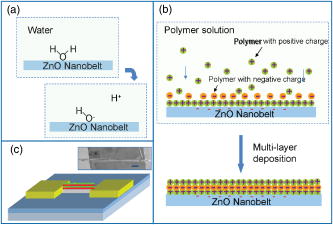 Polymer functionalized piezoelectric-FET as humidity/chemical ...