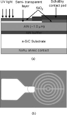 Hybrid AlN–SiC deep ultraviolet Schottky barrier photodetectors ...
