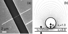 Electron transport in degenerate Mn-doped ZnO nanowires | Applied ...