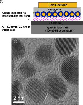 Charging phenomena in pentacene-gold nanoparticle memory device ...