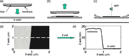 Mechanical characterization of elastic membranes: Cell mechanics ...