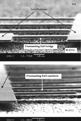 Surface micromachined freestanding ZnO microbridge and cantilever ...