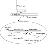 Marangoni flow in an evaporating water droplet | Applied Physics ...