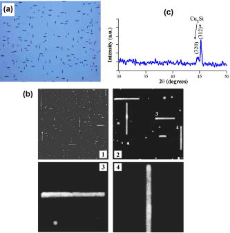 In situ integration of freestanding zinc oxide nanorods using copper ...