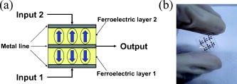 Flexible programmable logic gate using organic ferroelectric multilayer ...