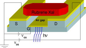 Steady-state and transient photocurrents in rubrene single crystal free ...