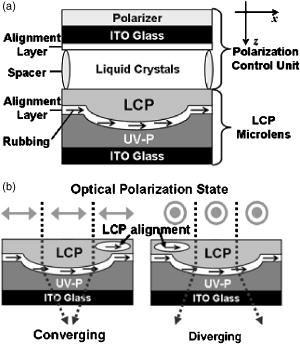 A liquid crystalline polymer microlens array with tunable focal intensity by the polarization ...