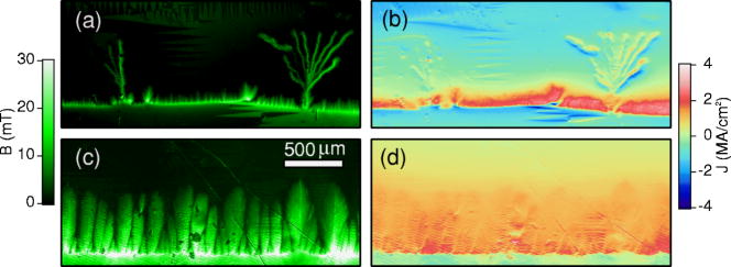 Kinetic roughening of magnetic flux penetration in MgB2 thin films ...