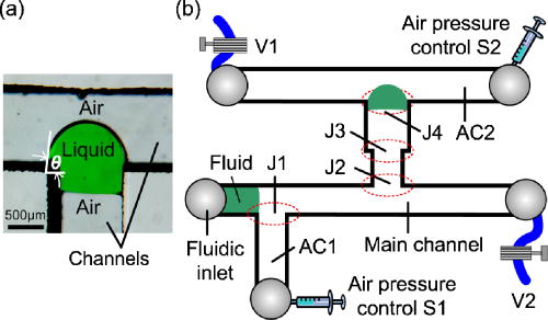Tunable and movable liquid microlens in situ fabricated within ...