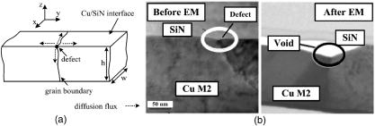 Lifetime modeling for stress-induced voiding in integrated circuit ...