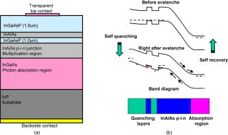 InGaAs single photon avalanche detector with ultralow excess noise ...