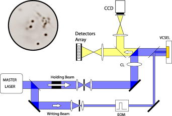 All-optical delay line using semiconductor cavity solitons | Applied ...
