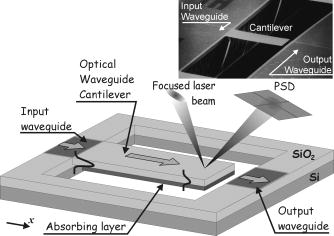 Optical waveguide cantilever actuated by light | Applied Physics ...