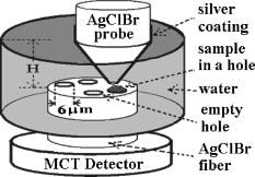 A scanning near-field middle-infrared microscope for the study of ...