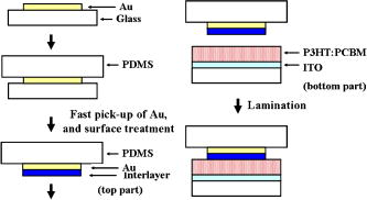 The surface engineering of top electrode in inverted polymer bulk ...