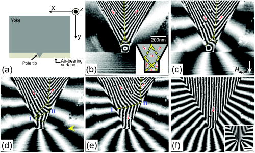 Magnetic domain observation in writer pole tip for perpendicular ...
