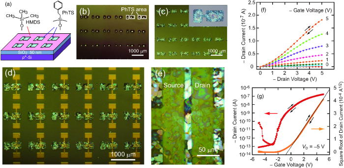 Selective organization of solution-processed organic field-effect ...
