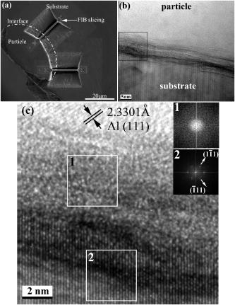 Dynamic amorphization and recrystallization of metals in kinetic spray ...
