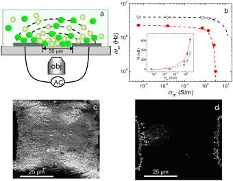 Double-layer effects on low frequency dielectrophoresis-induced ...