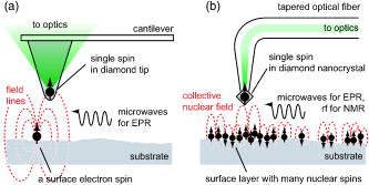 Scanning magnetic field microscope with a diamond single-spin sensor ...