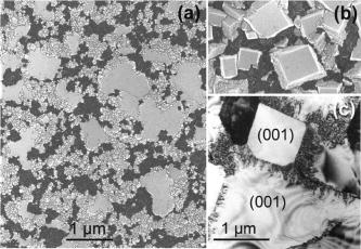 Facet dependent reactivity and selective deposition of nanometer sized ...